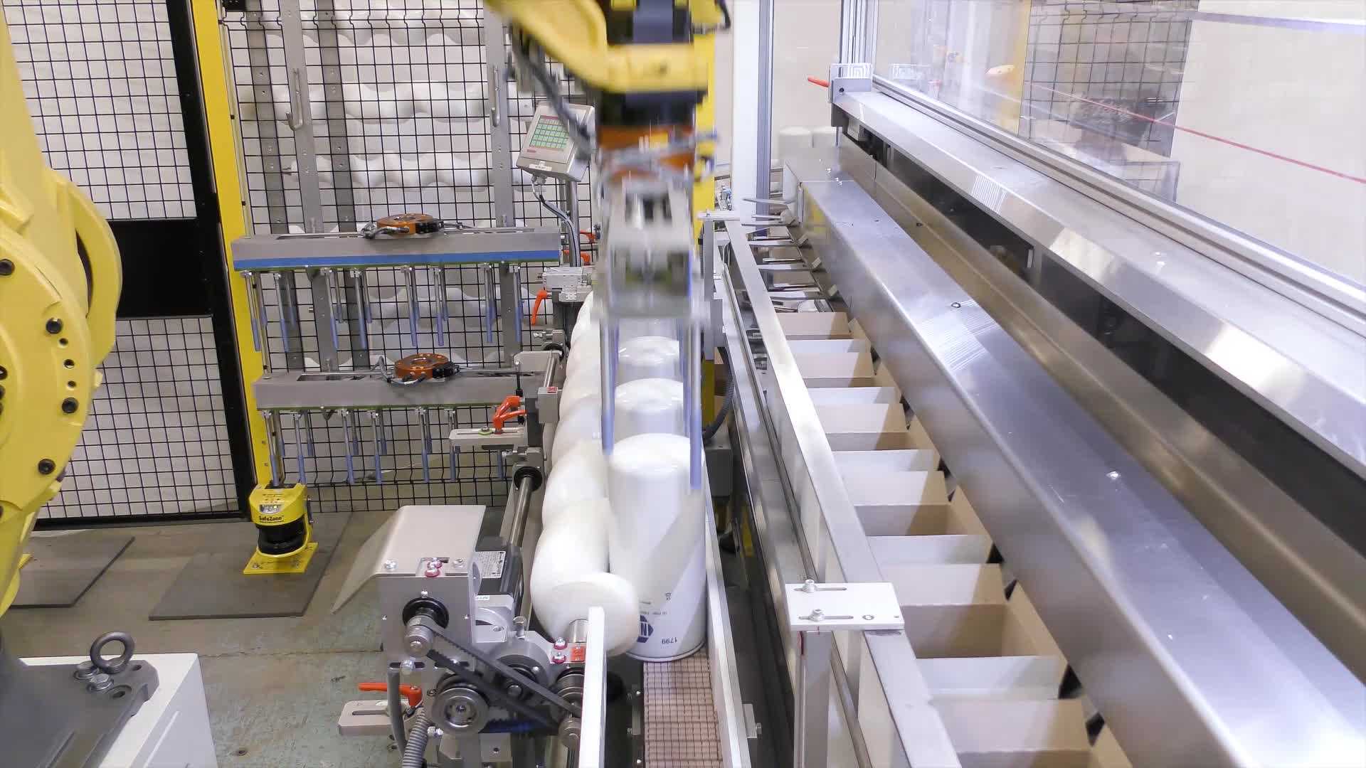 Automated Packaging Systems: Cartoners, Sleevers, & Case Packers ...