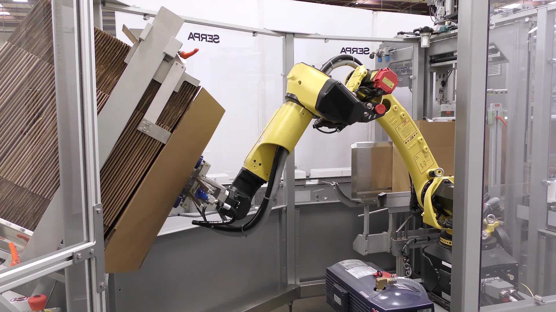 Case Packer Machines & Tray Pack Systems | Serpa Packaging Solutions